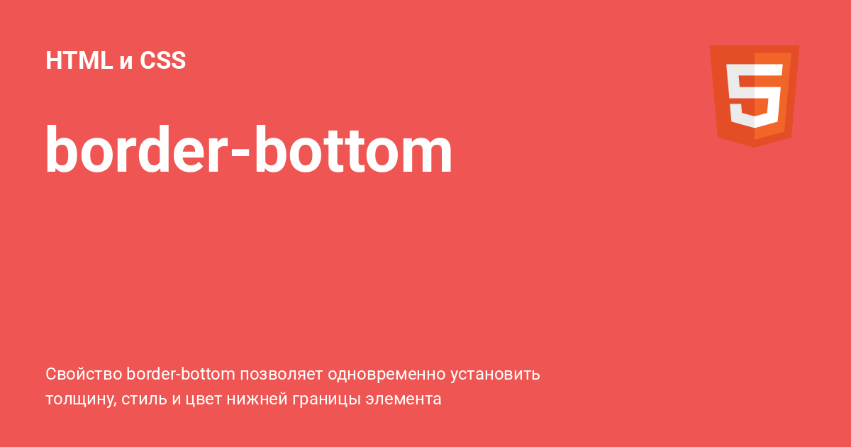 Border bottom HTML CSS 